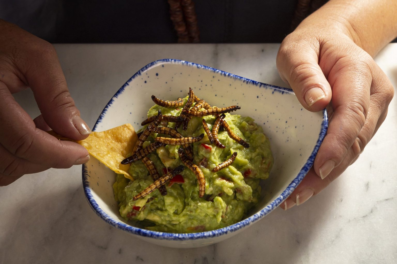 STARTERS Archives • Sed de México